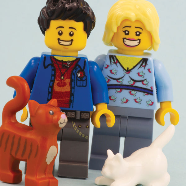 Meet the team – Minifigs.me